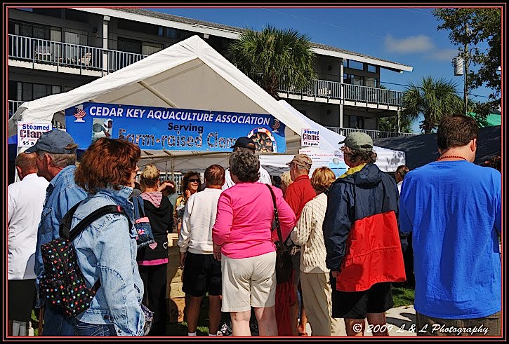 Cedar Key (Florida) Photos: Lobster trap table and farm raised clams