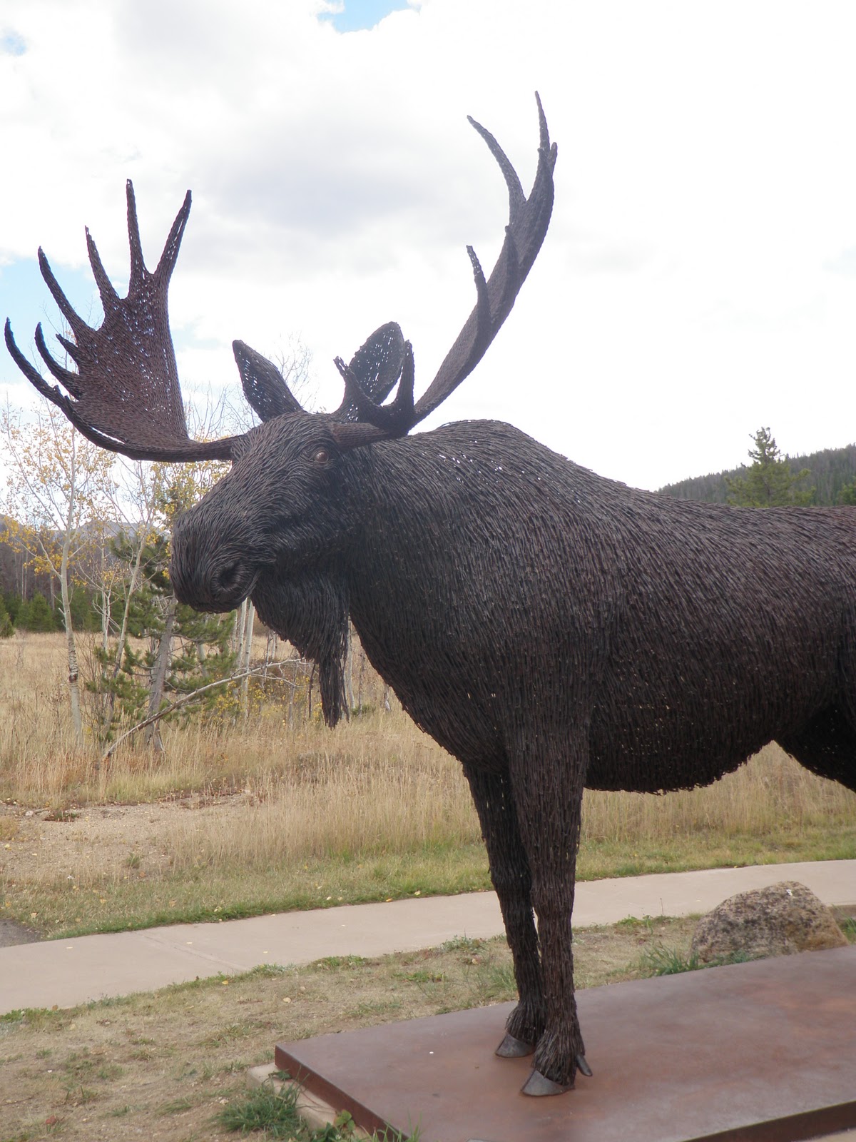 Fierce Asparagus: Day 20- MOOSE!!!!!! And Fort Collins