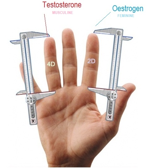 Science Vedic Wisdom Ring Finger Male Index Finger Feminine science-vedic-wisdom-ring-finger-male-index-finger-feminine