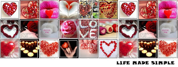 LIFE MADE SIMPLE life-made-simple