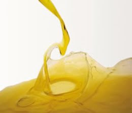 Grasa vegetal y animal | Adelgazar dietas