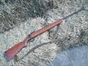 Diverse Collection of Guns: French MAS 45 Training Rifle, 22 LR Caliber ...