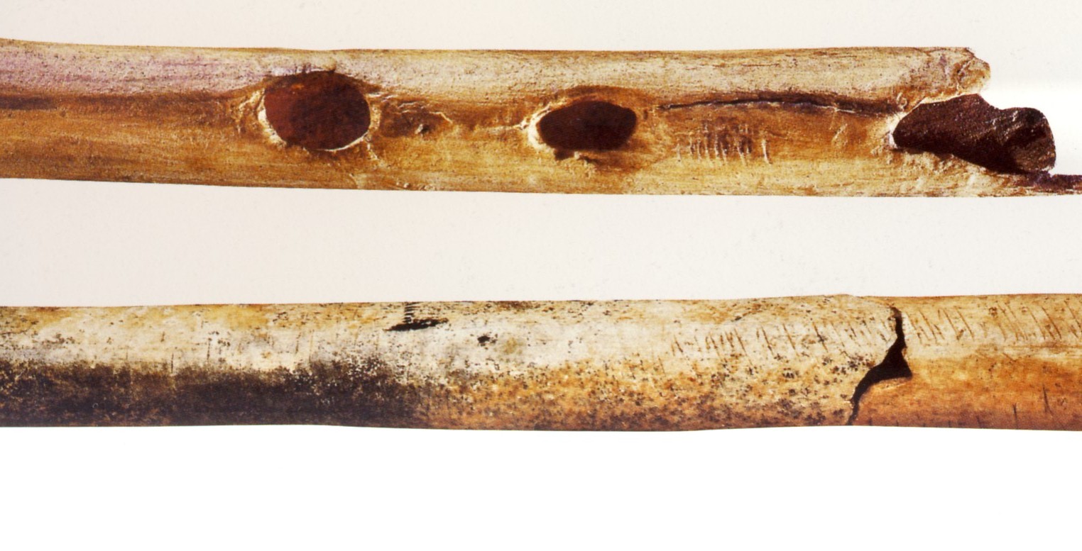 Rock Art Blog: MUSIC AT ROCK ART SITES?