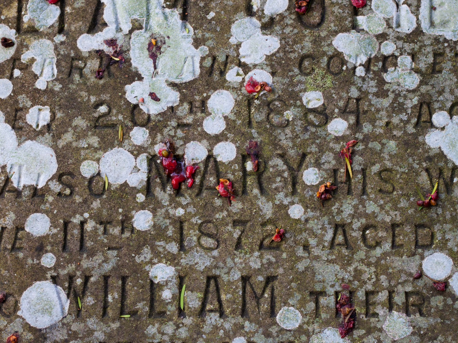 Lee William Hughes: Work for Exhibition at The Victoria Mill, Congleton