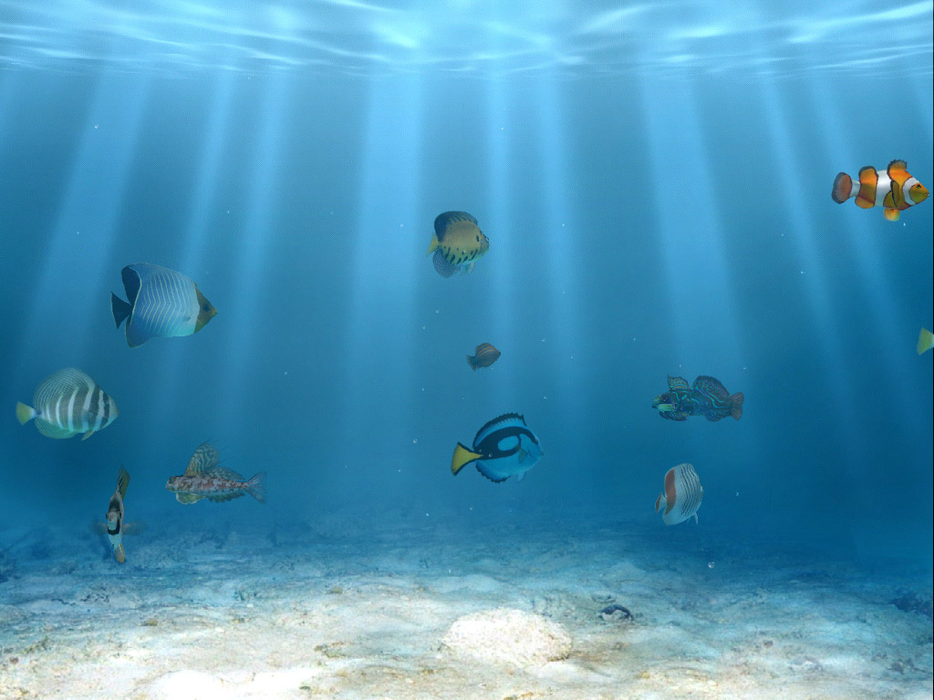 Fundraising That Counts: Ah Carumba!