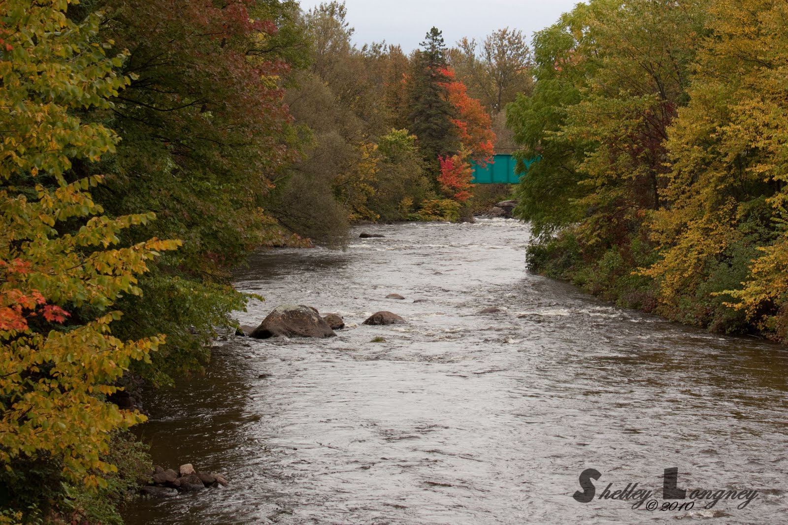 Capturing Life One Picture at a Time: Day 271 - Running Water