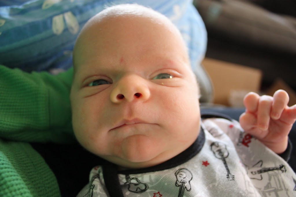 amisbide: really ugly baby pictures