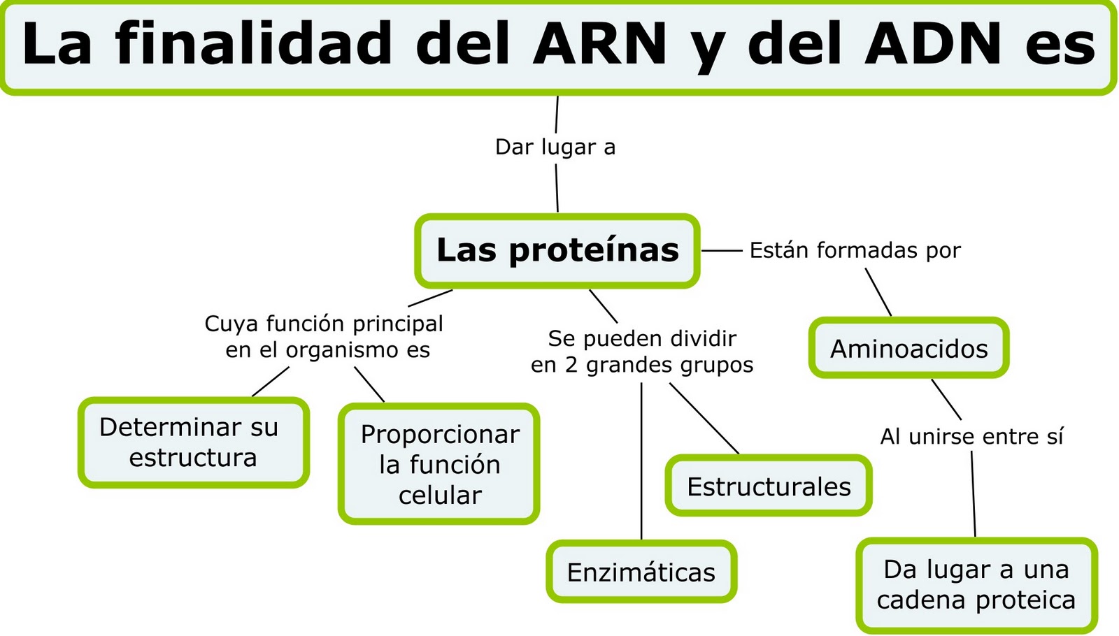 Semejanzas Entre Adn Y Arn