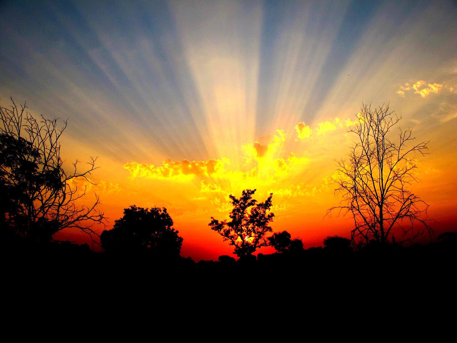 Elephants and Hippos - 6 months in Ghana: African sunset