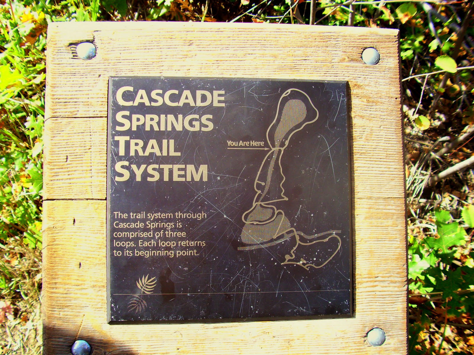 Cascade Springs | testenjoyutah