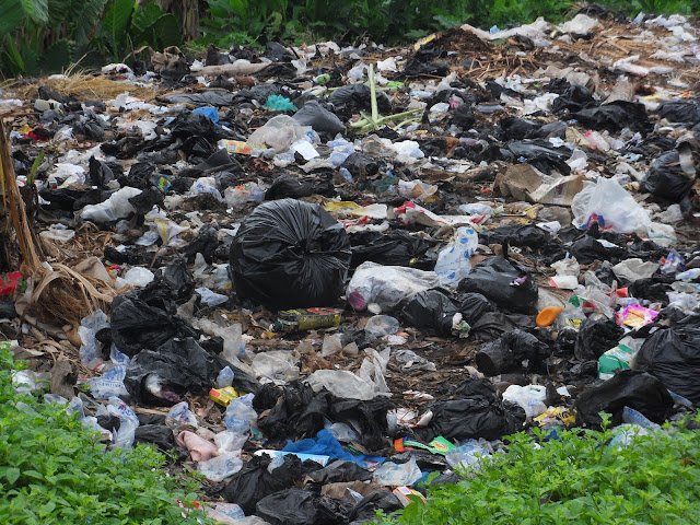 Managing Waste for Quality Life!: Holistic Waste Management Strategies ...