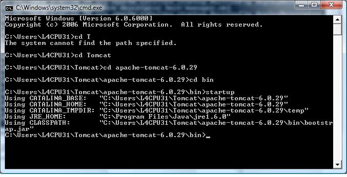 Run two/more Apache tomcat servers in your machine at the same time