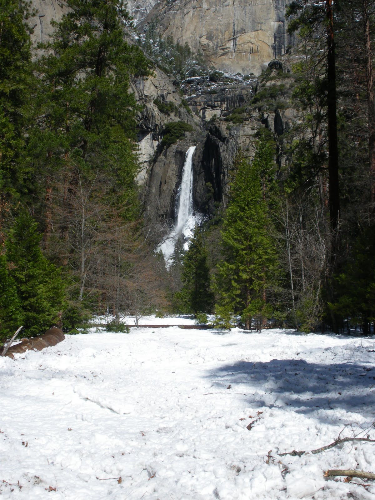 Yosemite Nature Notes Blog: Yosemite's Curious Frazil Ice