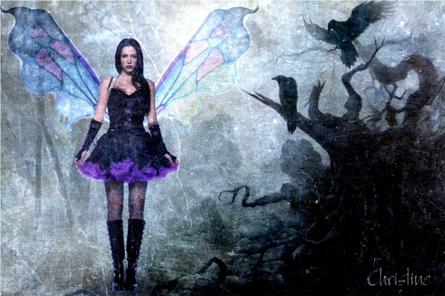 Image Wings: outubro 2010