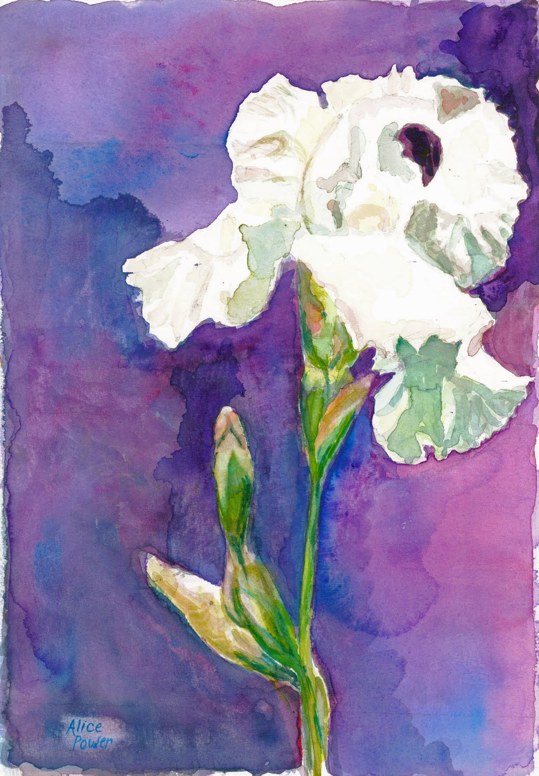 Paintings By Alice Power