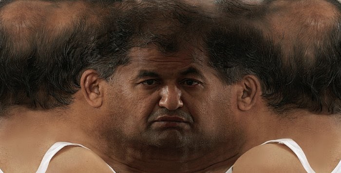 RICHVIEWER: flat faces