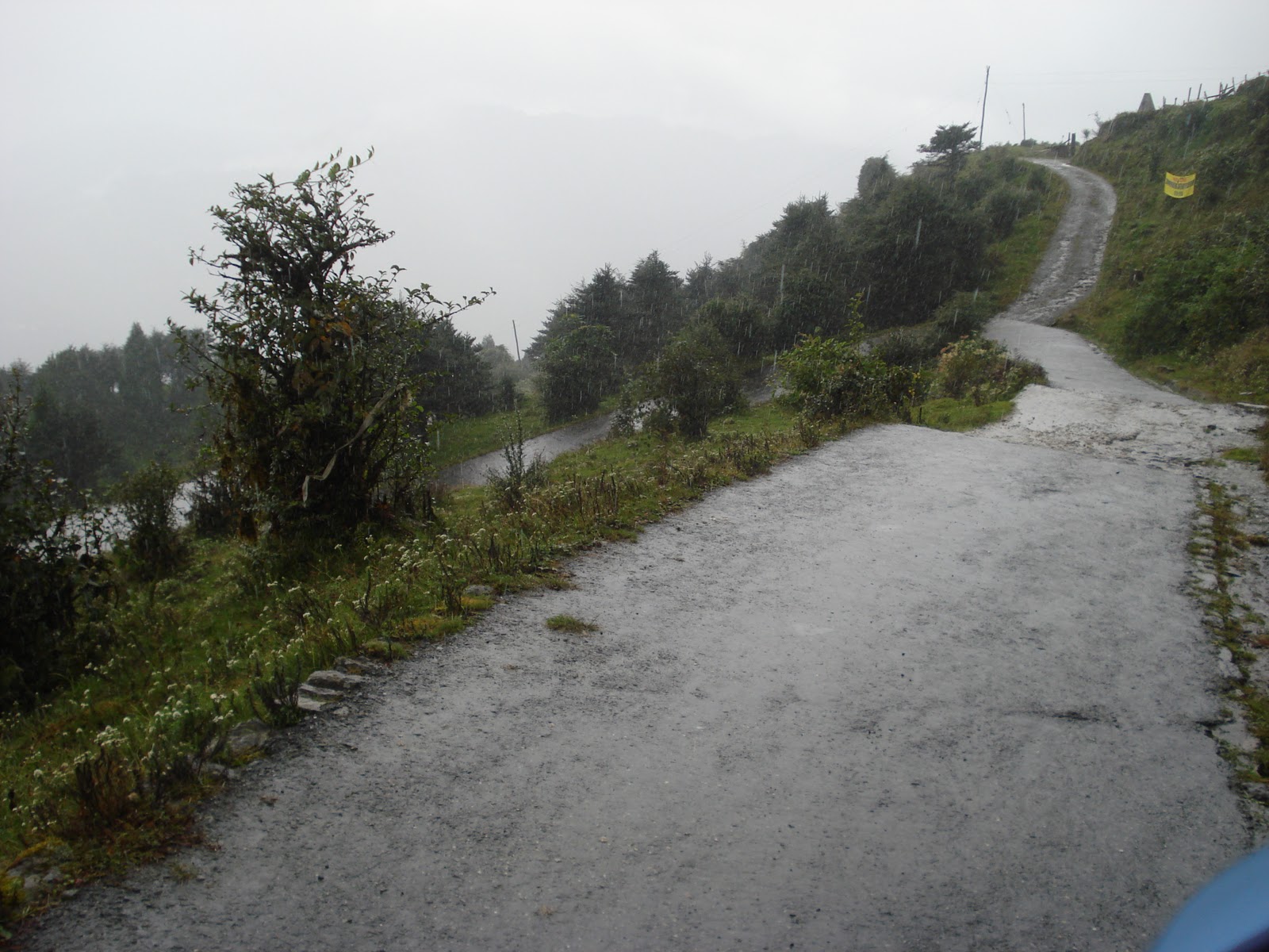 Online Article: Sandakphu Trekking with photos [Manebhanjan -> Tumling ...