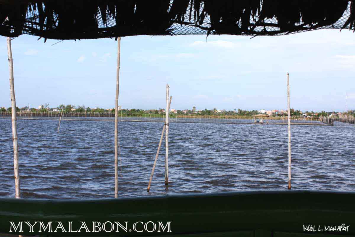 My Malabon: A uniquely Malabon resort - Villa Vicencio Garden Resort