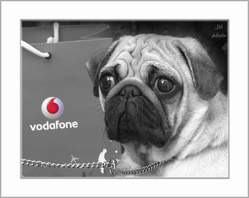 advertisement review: Hutch is now vodafone