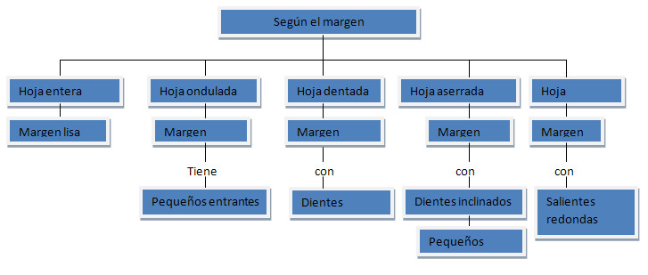clasificacion de hojas guia 2.5: 2. MARCO TEORICO clasificacion de hojas guia 2.5: 2. MARCO TEORICO