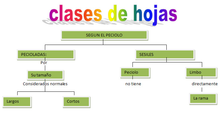 clasificacion de hojas guia 2.5: 2. MARCO TEORICO clasificacion de hojas guia 2.5: 2. MARCO TEORICO