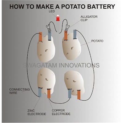 NewEnergyNews: THE ISRAELI POTATO BATTERY