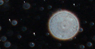 The Orb Farm: What is an Orb?