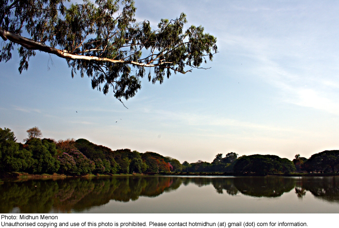 Midhun Menon Photography: Using Foreground Subjects to Landscape ...