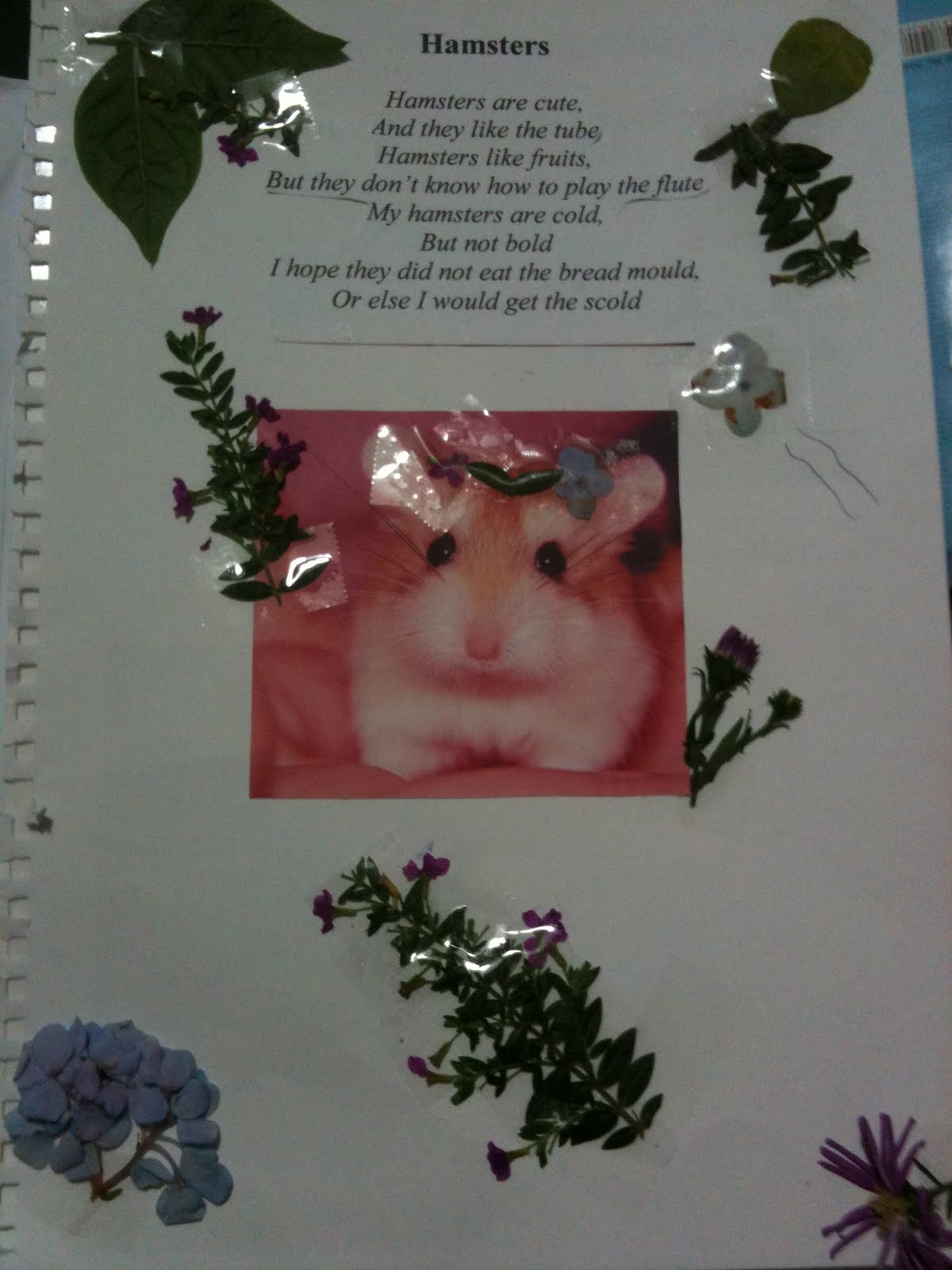 Agnes Lim: Charmaine's Poem on Hamster - Jan 2011