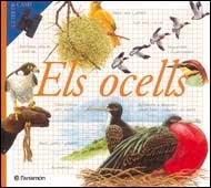 Un desert a casa: Ocells