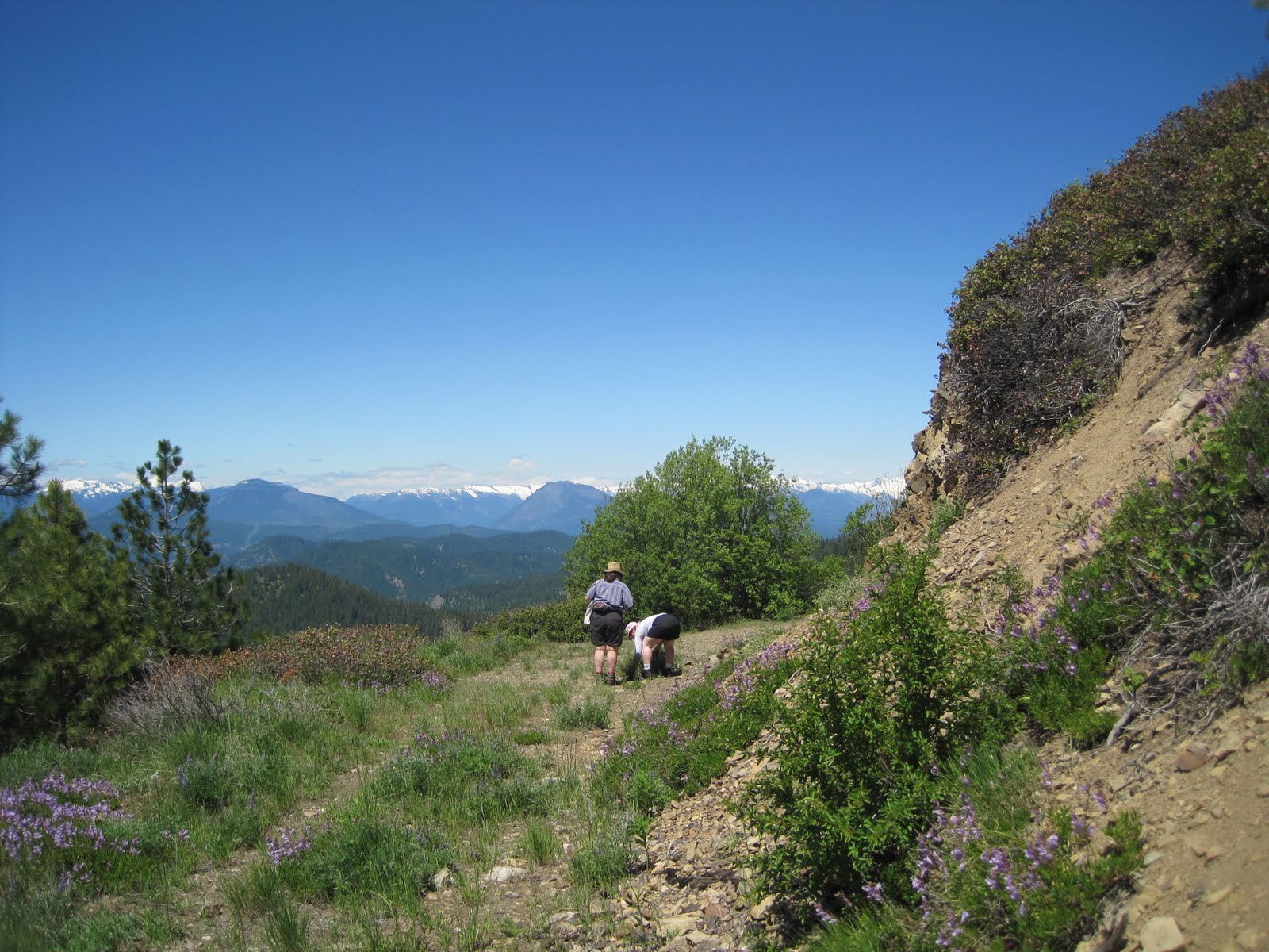 Meandering Washington: Field Trip : Chumstick Mountain