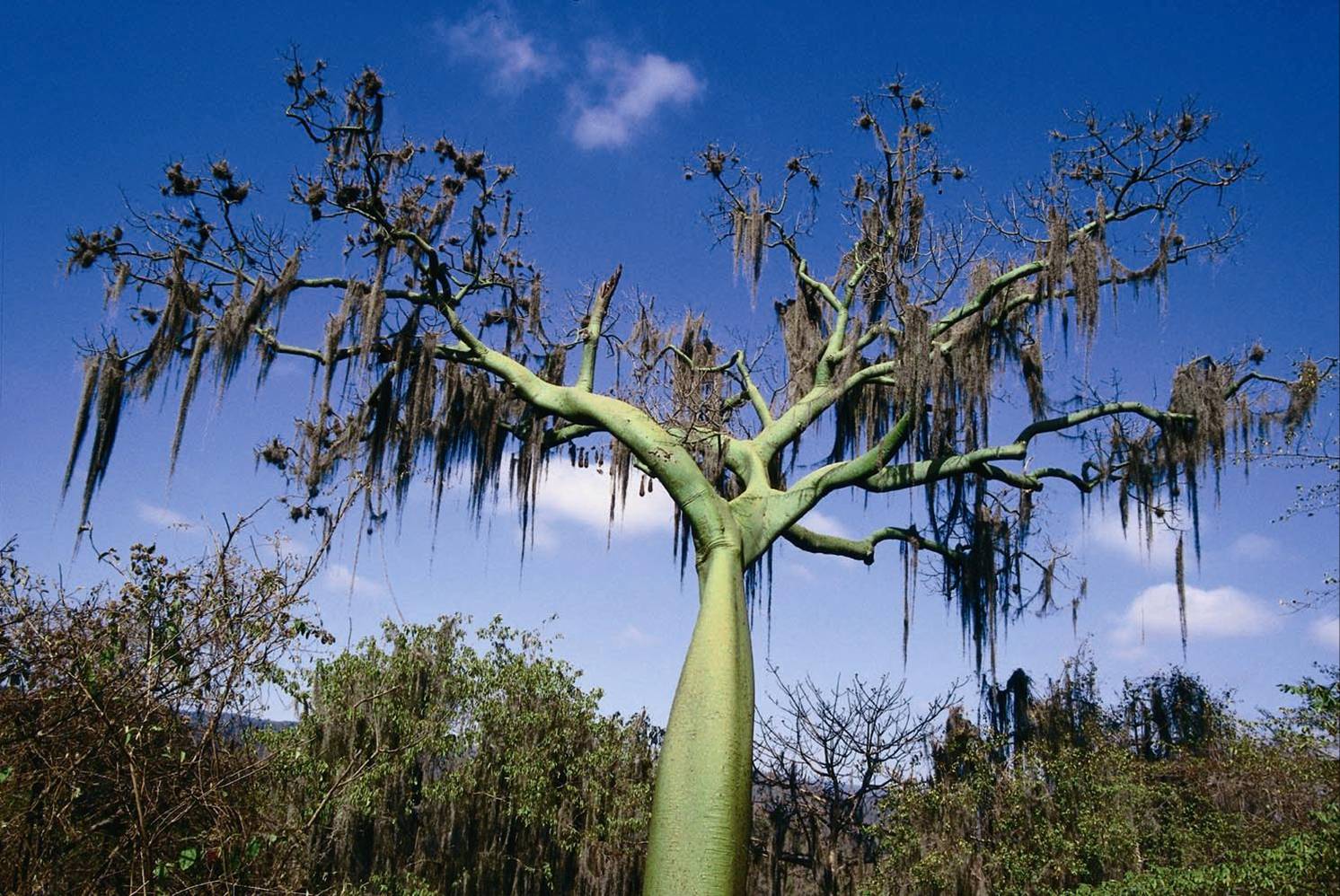 los ecosistemas : RESERVA NACIONAL DE TUMBES