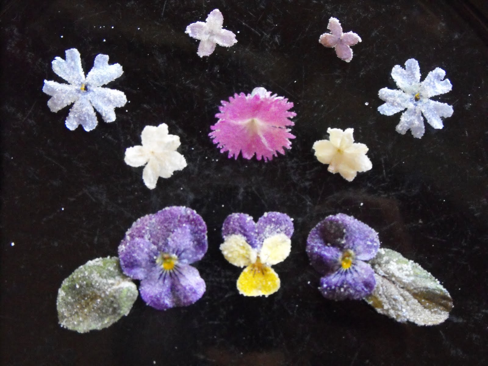 Twig and Toadstool: It's Gardening Week...Let Make Crystallized Flowers!