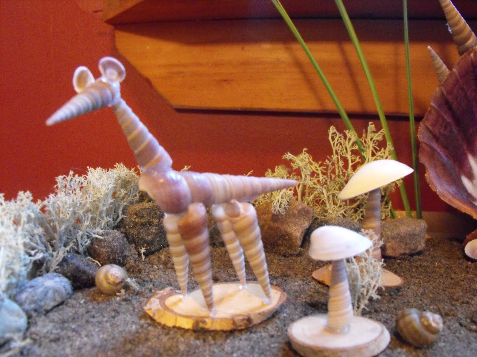 Twig and Toadstool: It's Beach Week...Lets Make Shell Fairies and Other ...