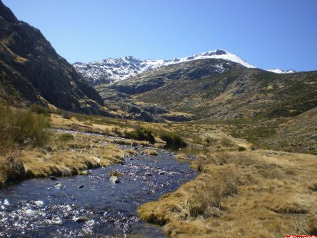 ECOSISTEMAS: PRADERA