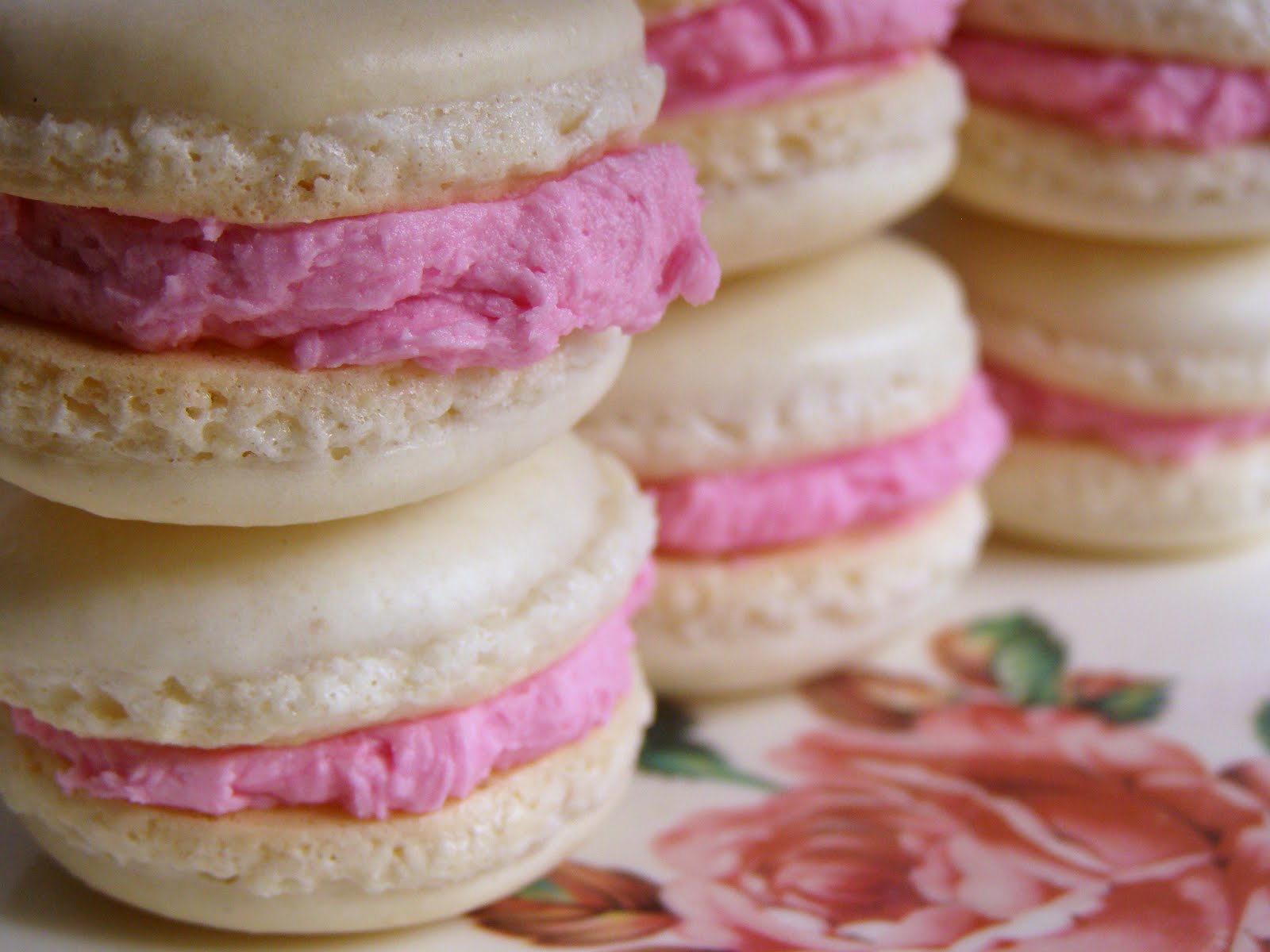 i d l e w i f e : macaron lesson 3