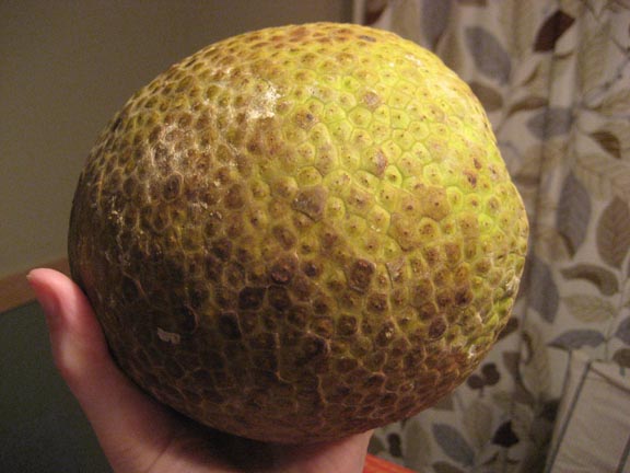 Caribe Caribbean Bistro: Step by Step Photos: How to cut a Breadfruit