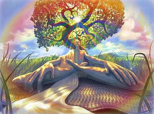 Human Evolution: Primal Instincts Prevail | The Mirror of Aphrodite