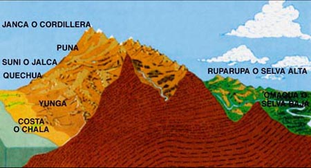 las regiones naturales del perú: LAS REGIONES NATURALES DEL PERÚ