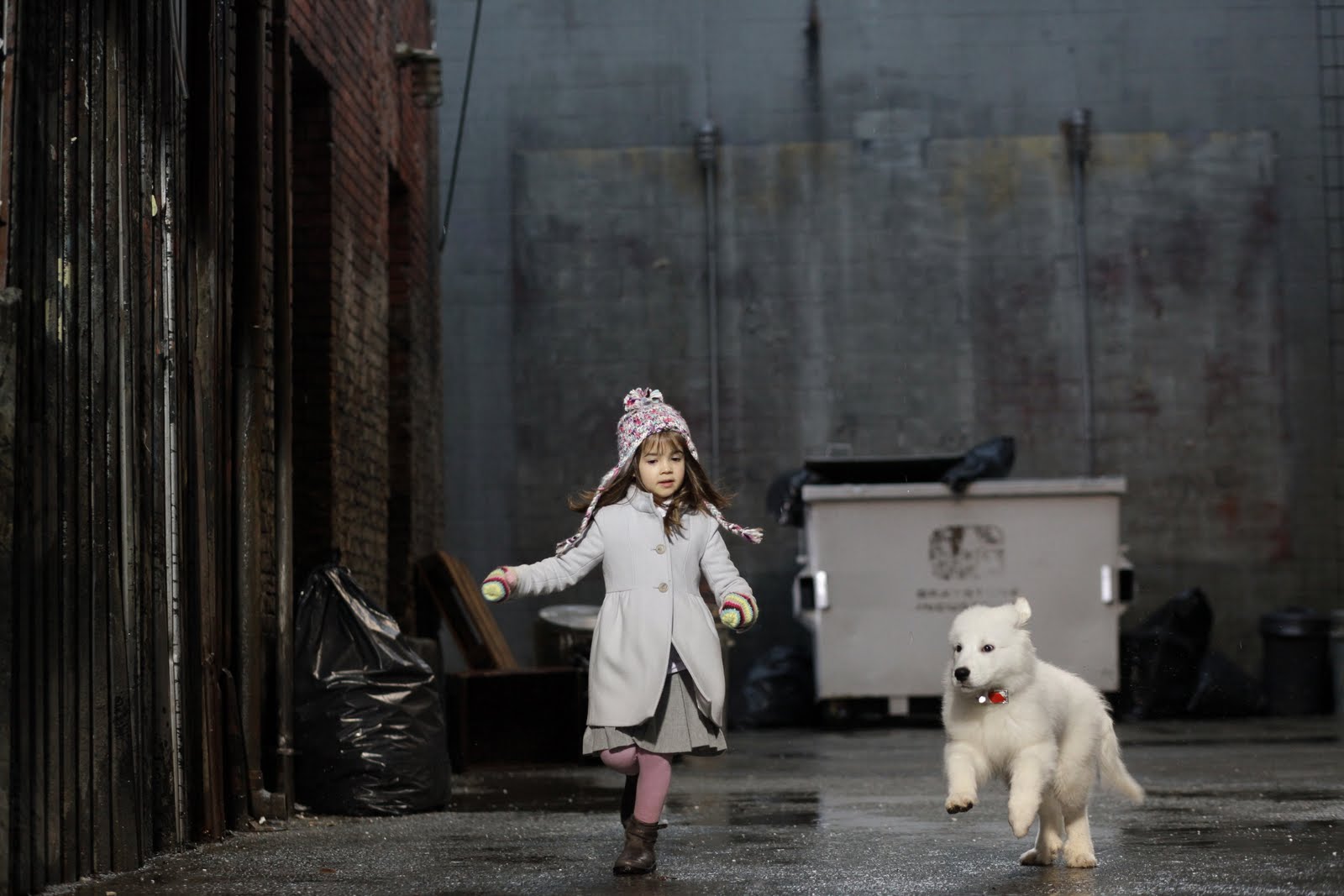 CD/DVD Reviews: Santa Paws - Get yours now for Christmas!