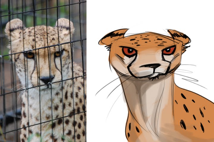 Forced by Mike Mattesi: Cheetah character designs