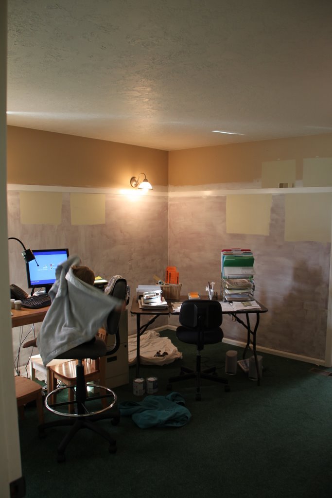 Paradise undeserved: Jill's Office Reveal [plus an interview]