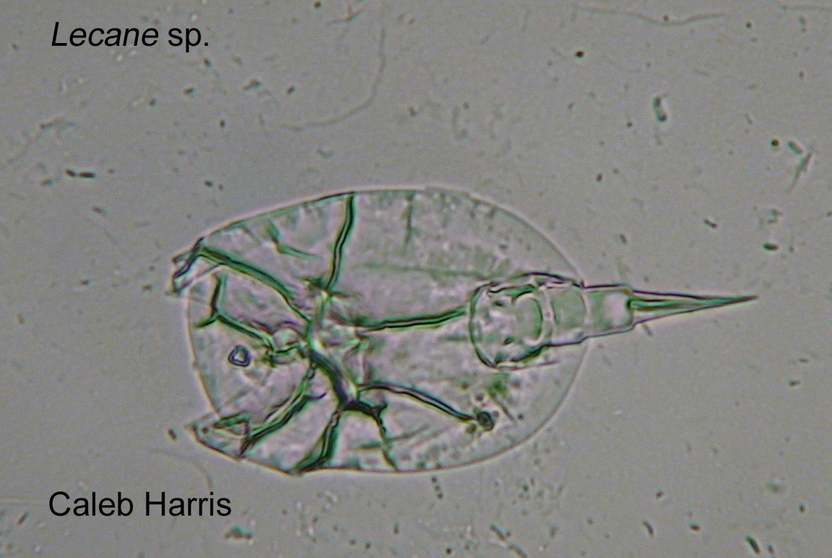 Micro Aquarium Term Project