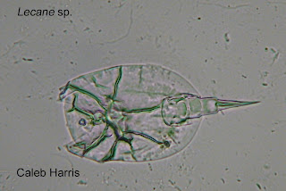 Micro Aquarium Term Project