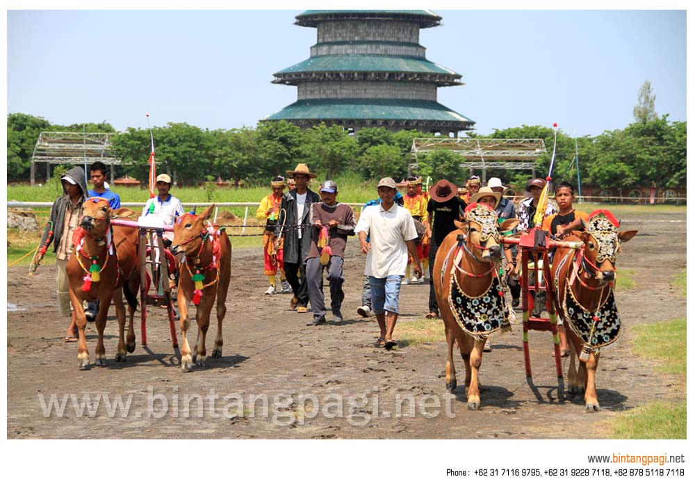 photo and sale: Perayaan Rakyat Madura