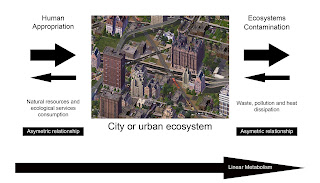 urban complexity: Can cities really be sustainable?