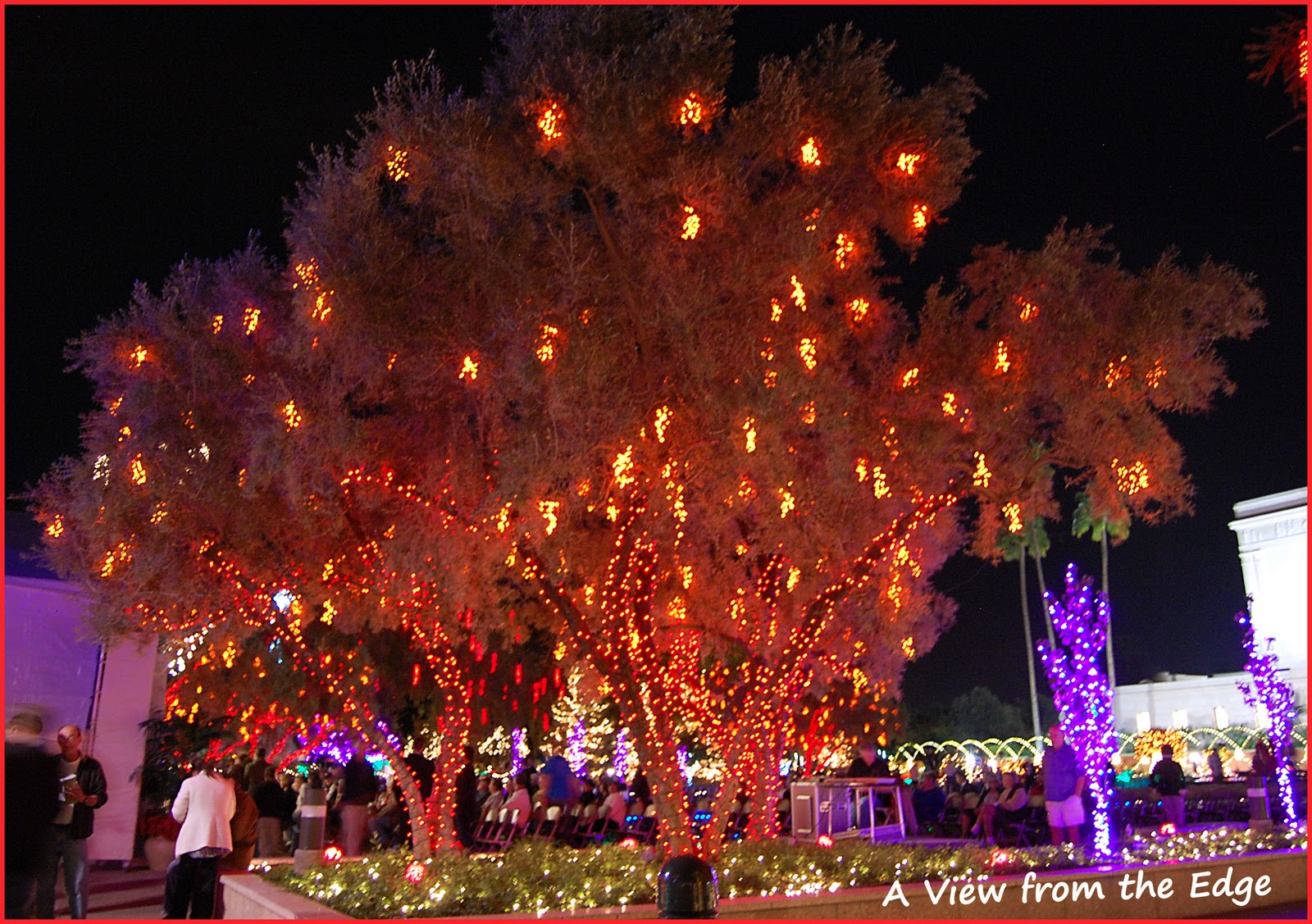 A View from the Edge: Merry Christmas Mormon Style!