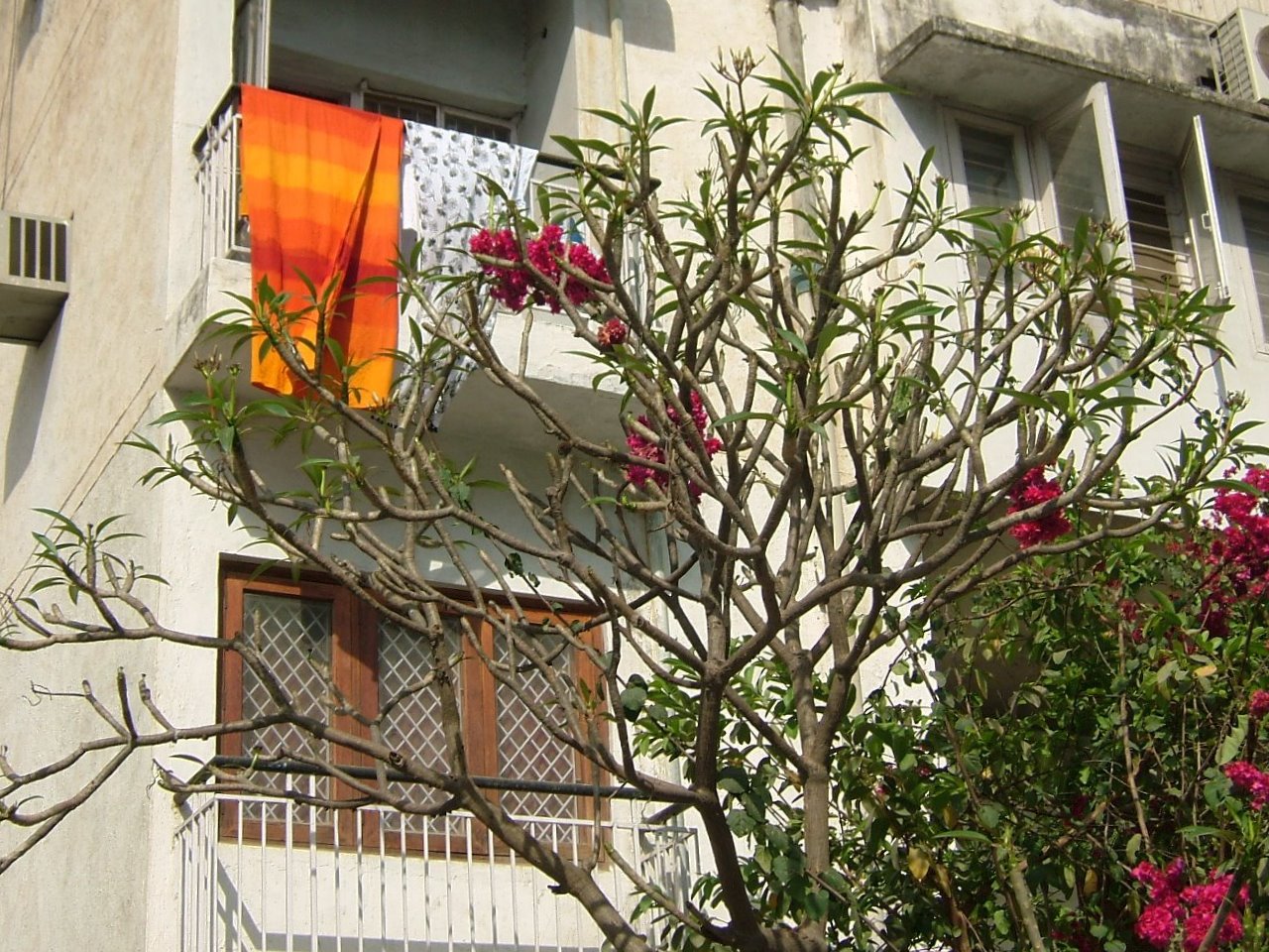 The Corpus Callosum Collection of Poetry: Part One: Blazing Suns Once ...