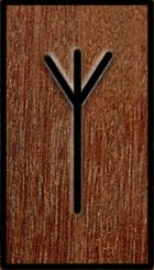 Runas | Significado de las Runas: Runa Algiz