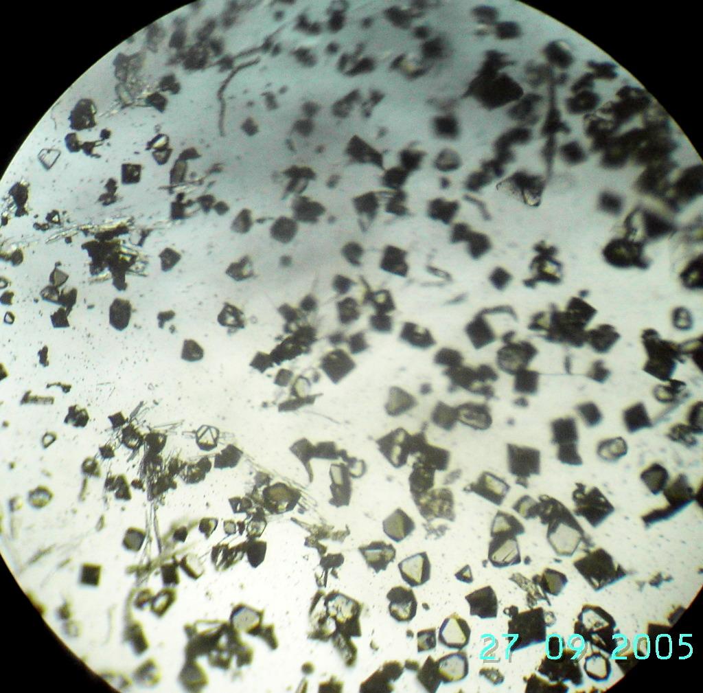 TuttyFrUiTyMixture.blogspot.com: arsenic crystals under microscope ...